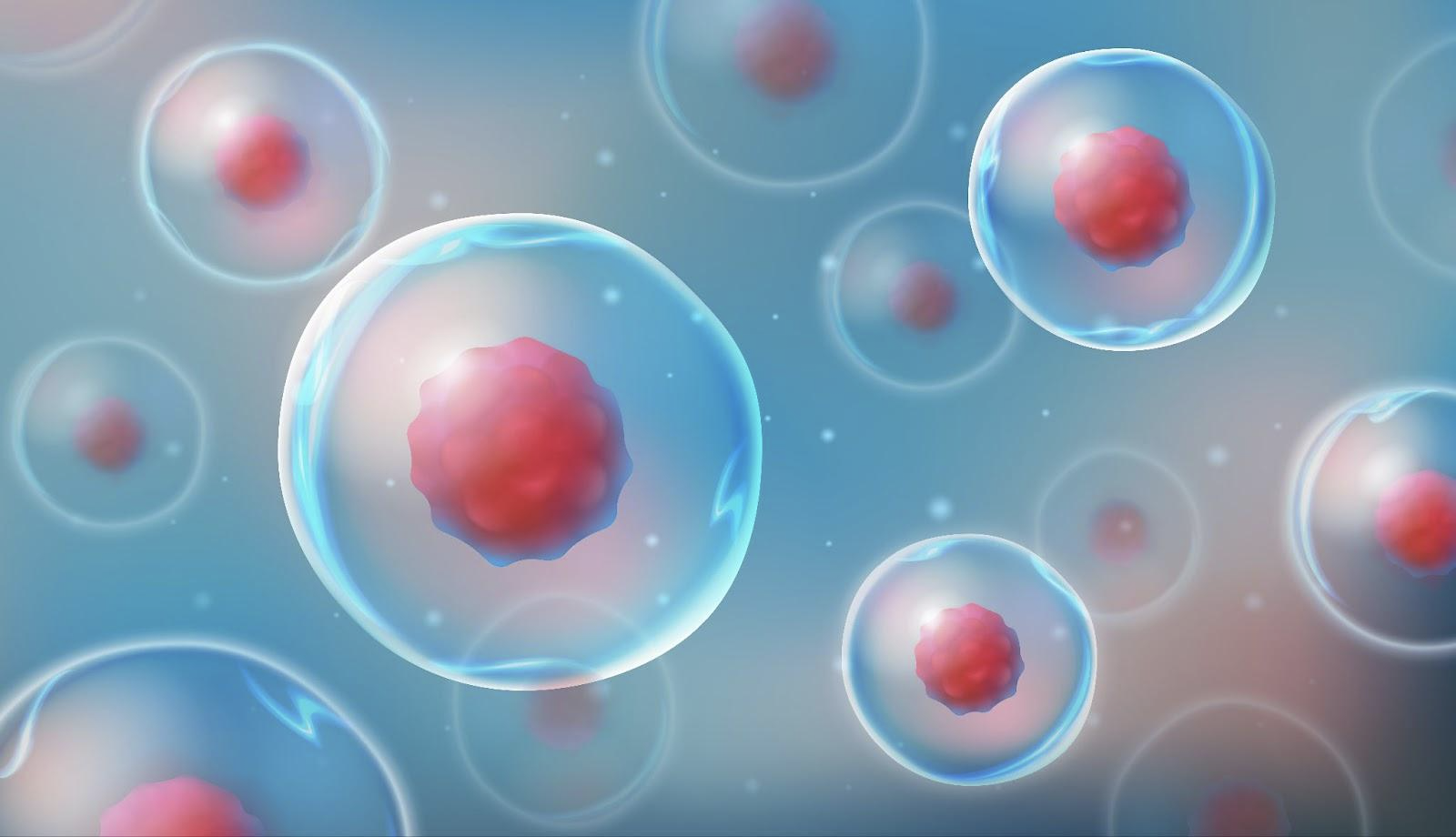 Can Stem Cell Therapy Treat Back Pain? - Integrative Wellbeing Institute